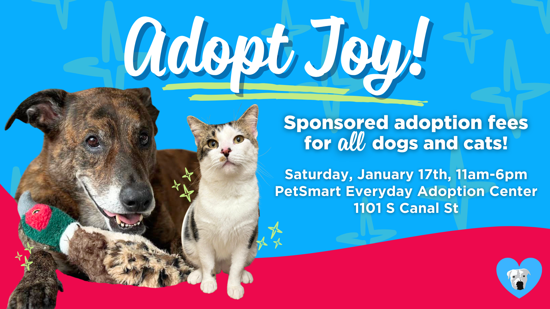 Adopt Joy! Waived Adoptions at PetSmart Everyday Adoption Center - One ...